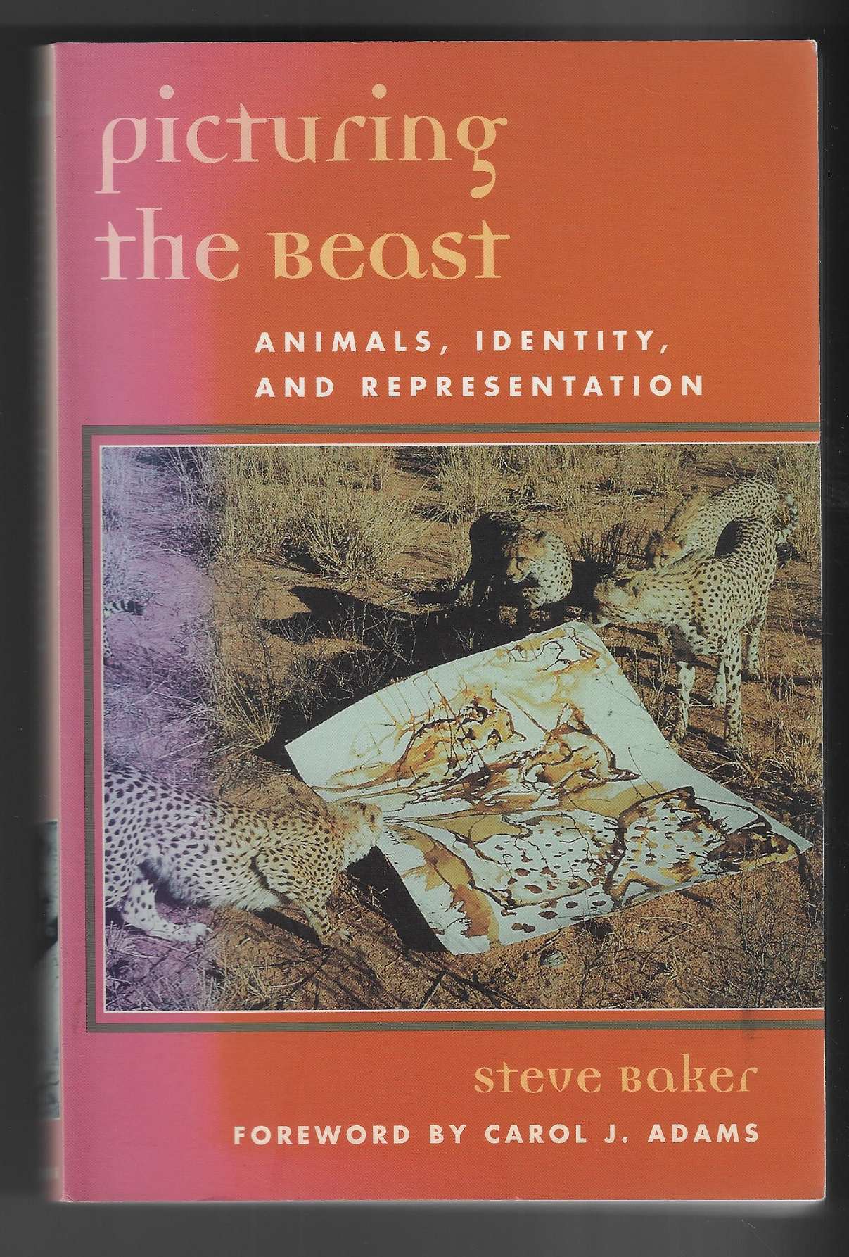 Picturing the Beast Animals, Identity, and Representation