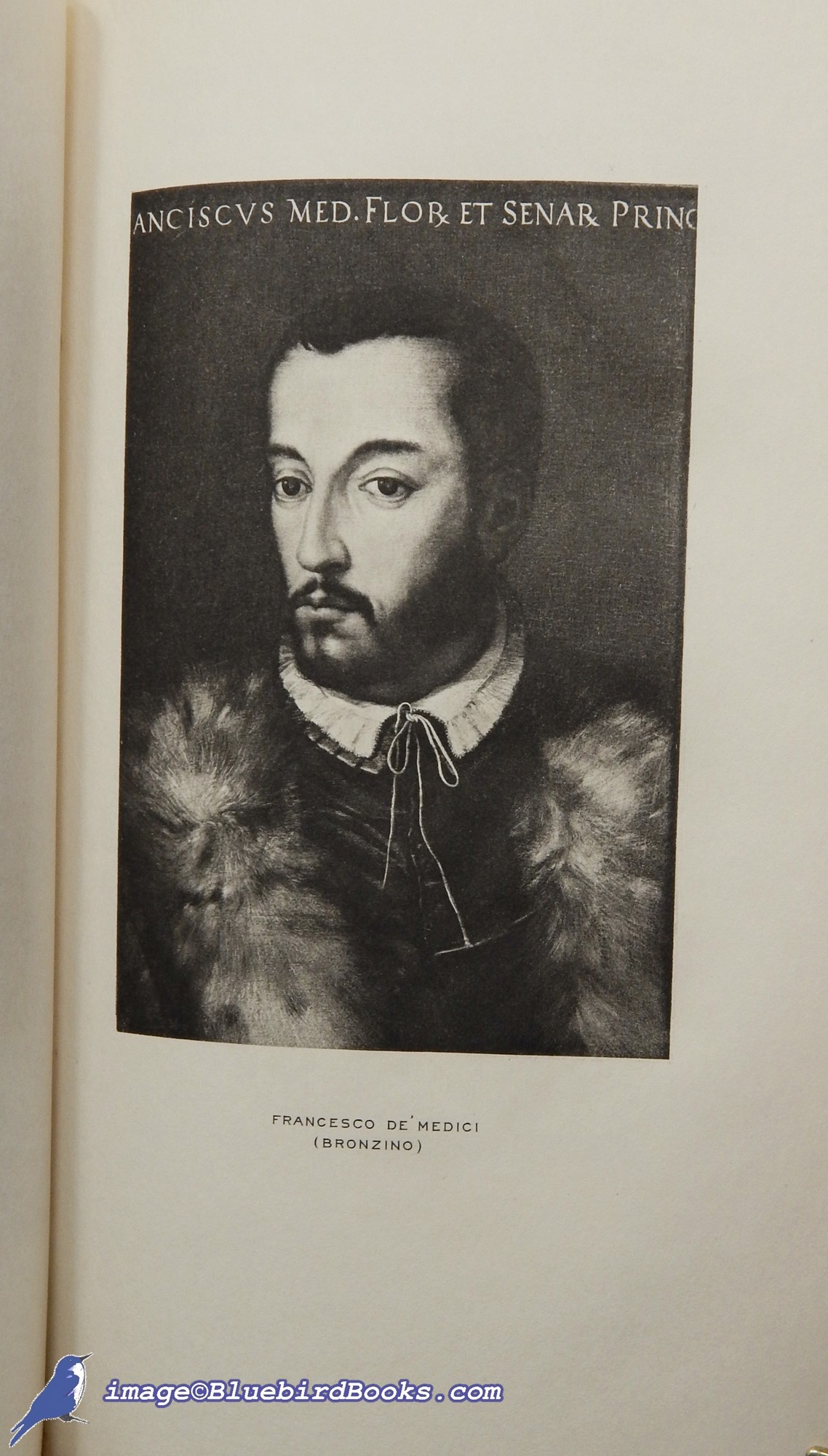 Benvenuto Cellini Portrait