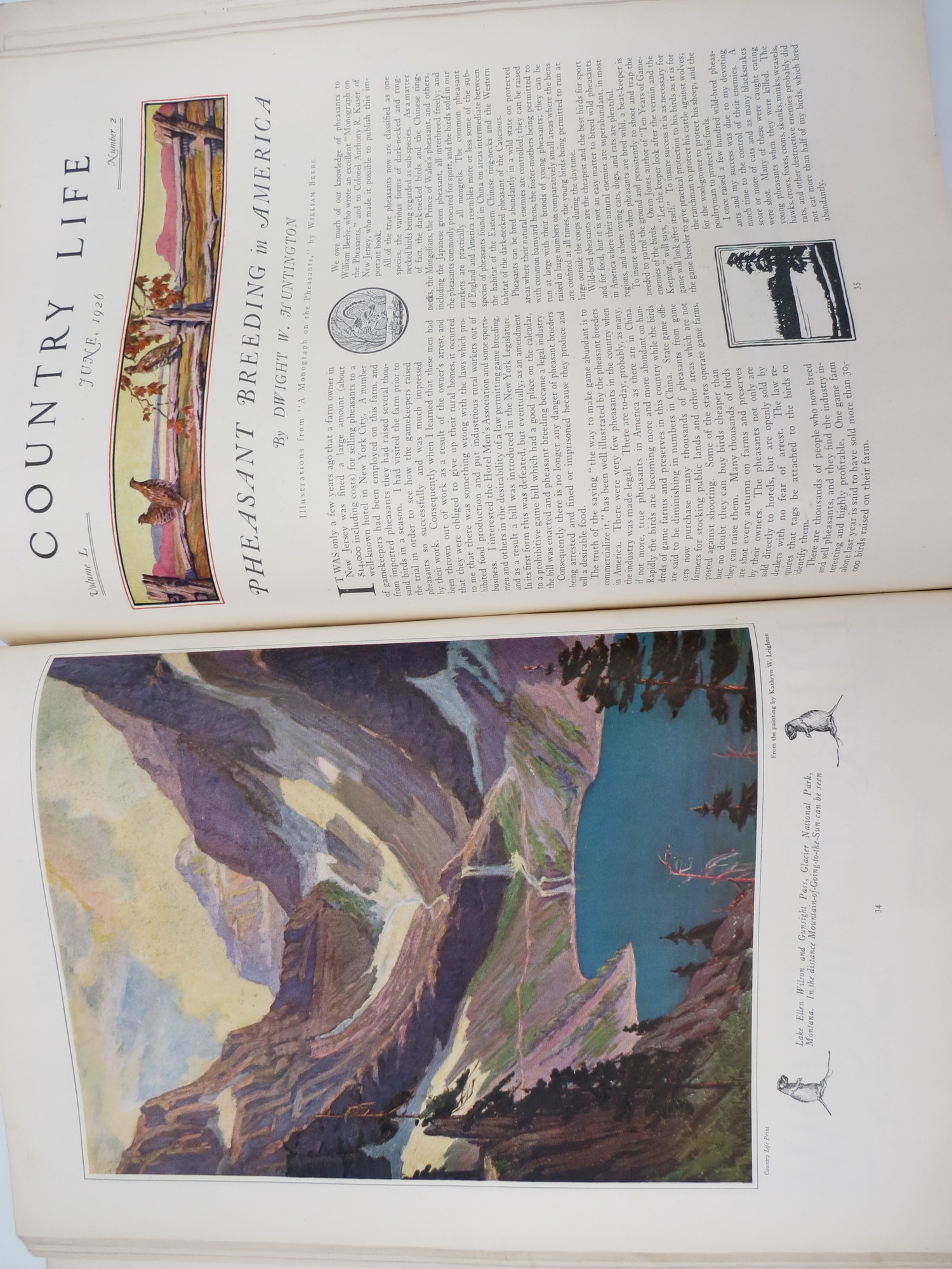 GREAT BOOKS OF THE WESTERN WORLD (COMPLETE 54 VOLUME SET)