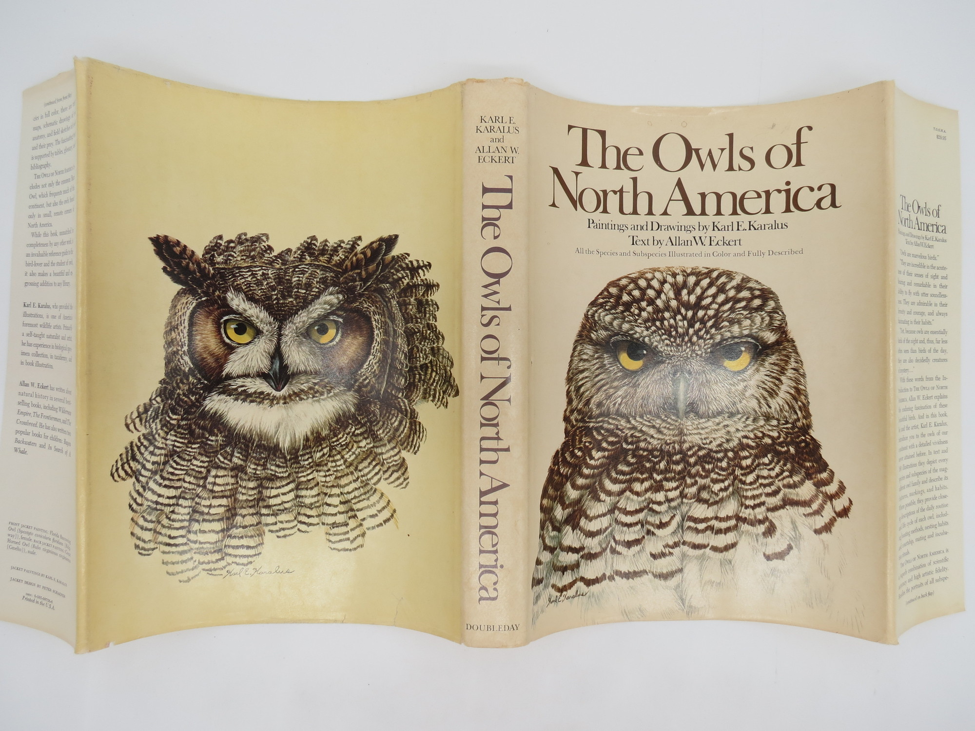 THE OWLS OF NORTH AMERICA All the Species and Subspecies Illustrated in ...