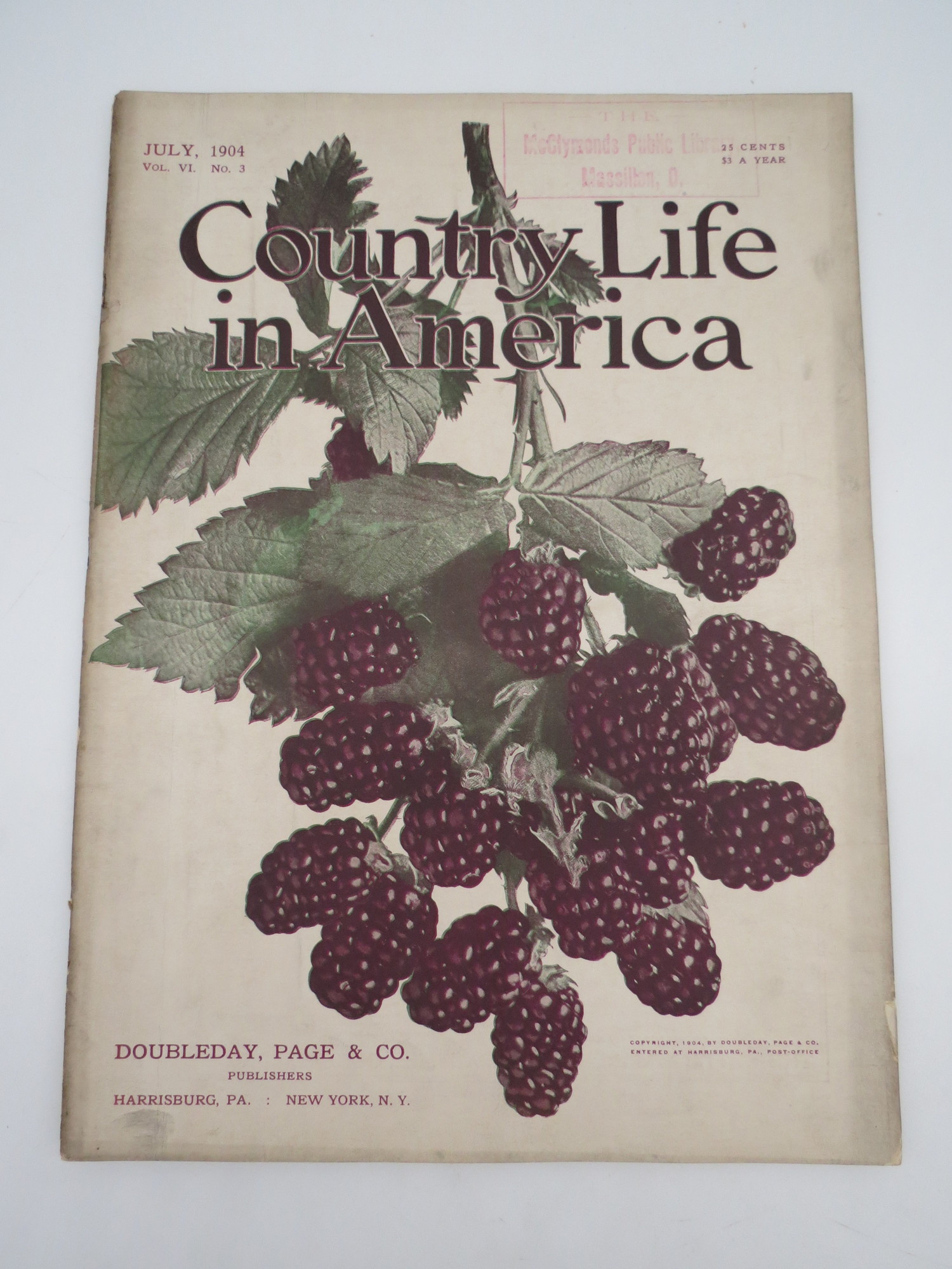 COUNTRY LIFE MAGAZINE, JULY 1923 (COWS)