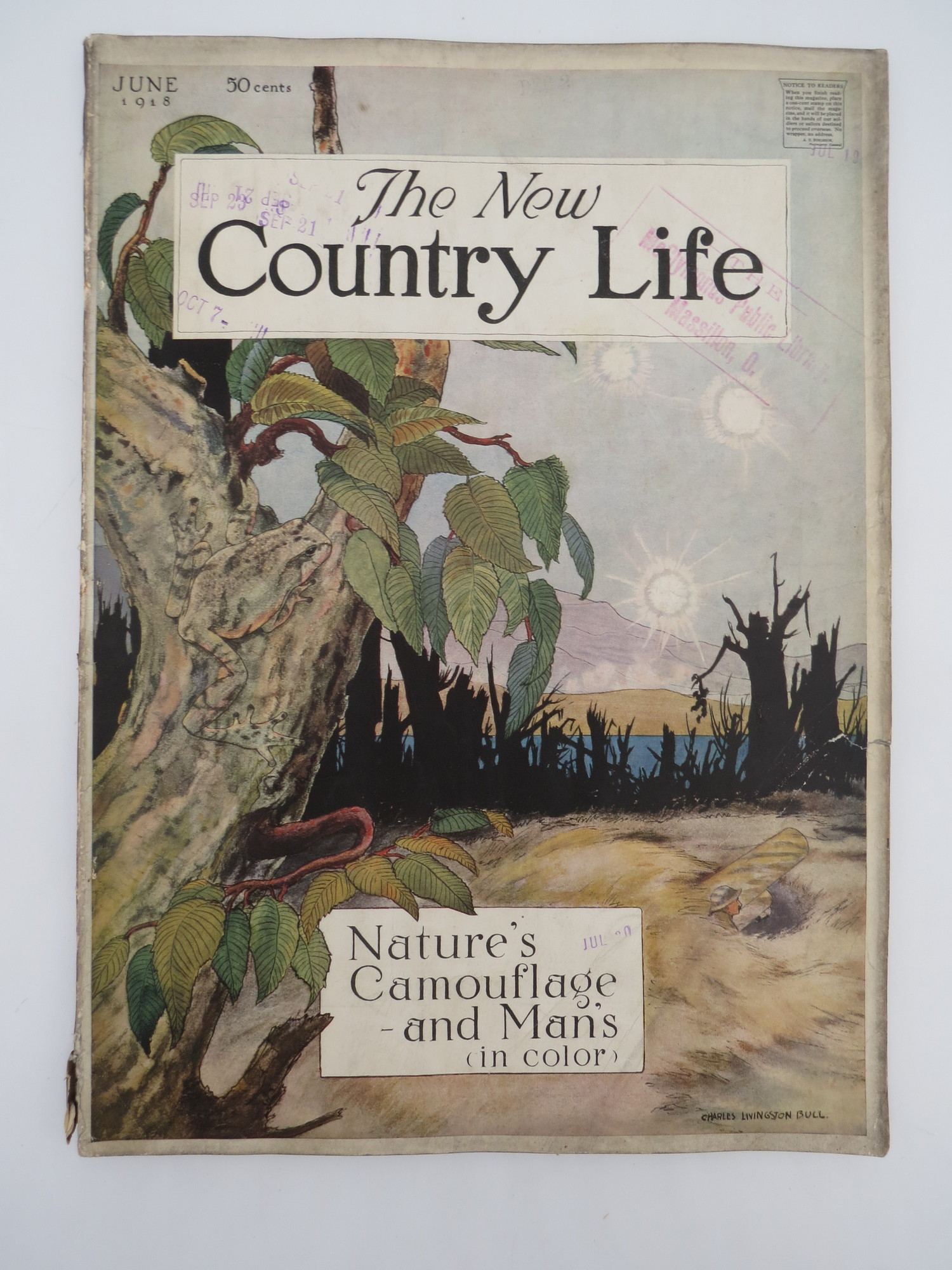 THE NEW COUNTRY LIFE MAGAZINE, JUNE 1918 (NATURE'S CAMOUFLAGE - AND MAN ...