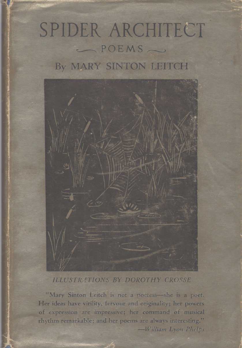SPIDER ARCHITECT Poems