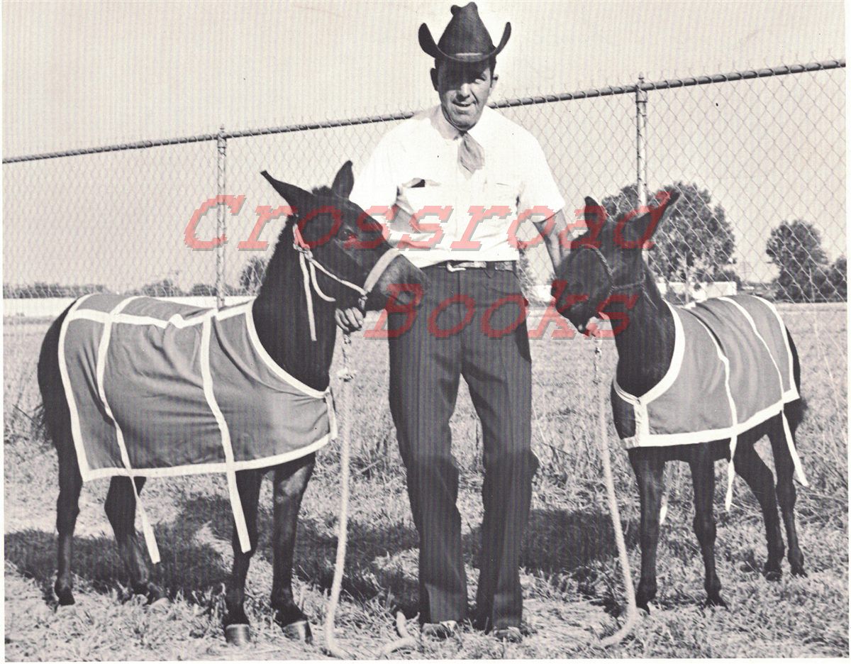 Vintage Photograph: Man with Two Mules [circa 1960's]