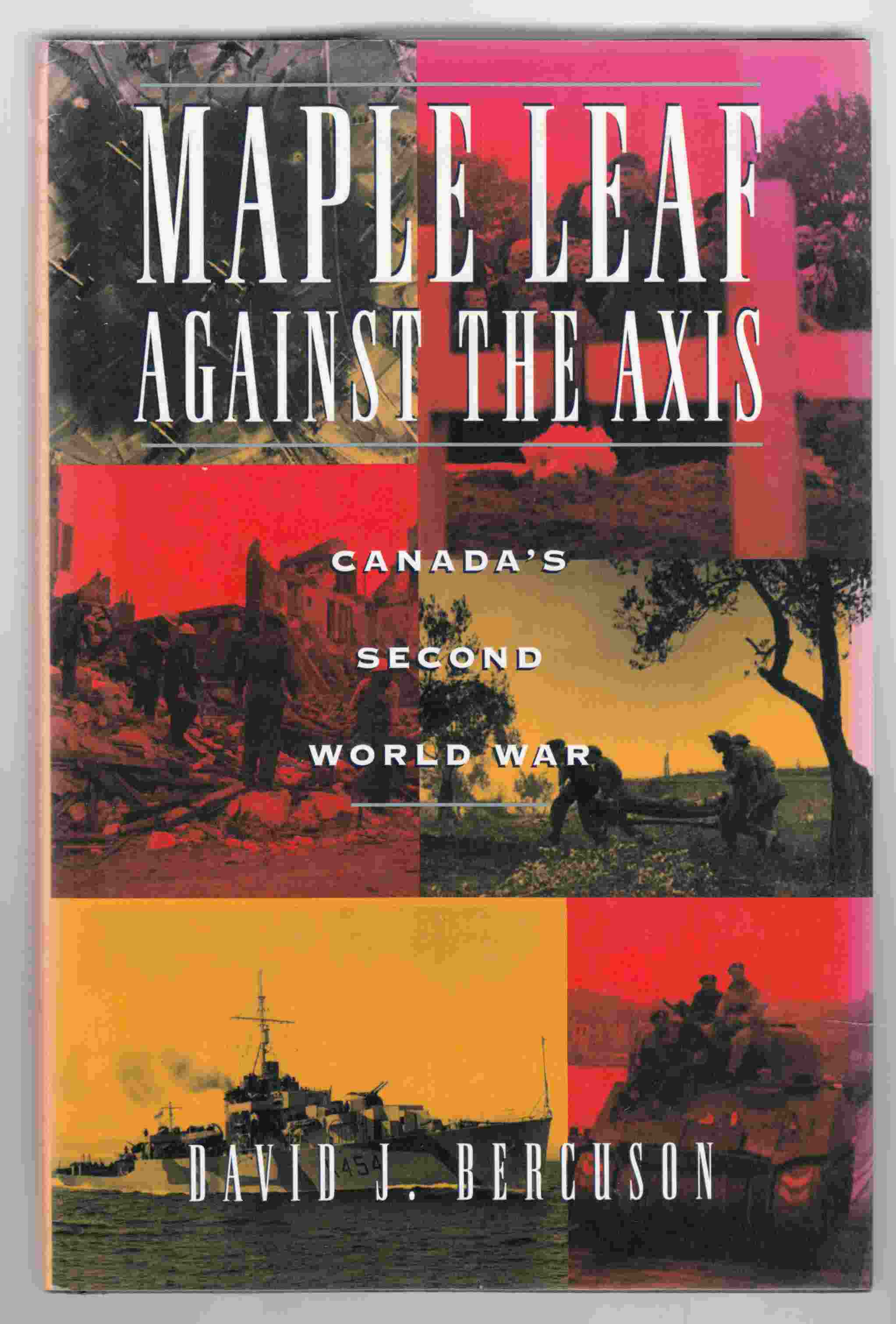 Significant Incident Canada's Army, the Airborne, and the Murder in Somalia